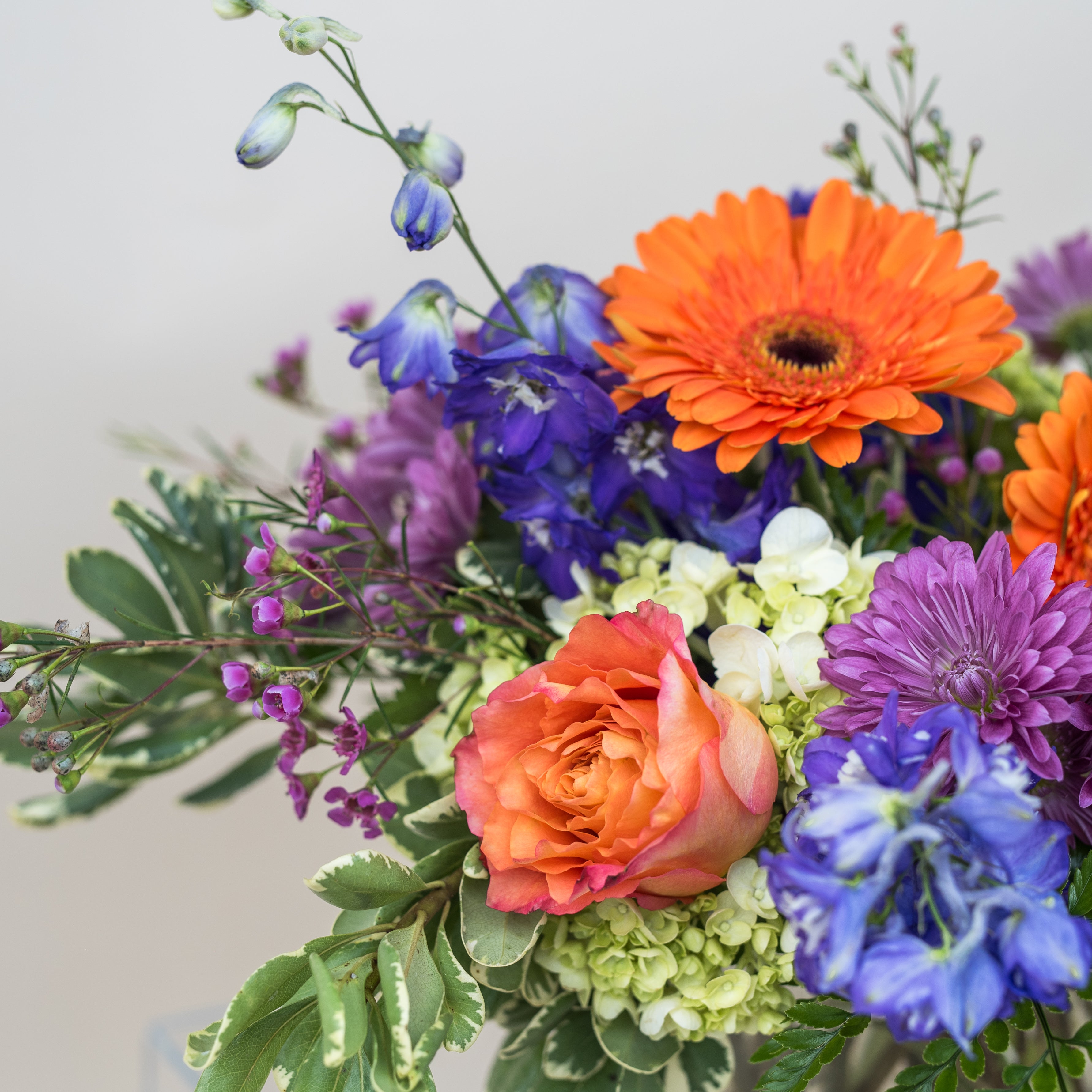 Celebrate! – Mitten Floral